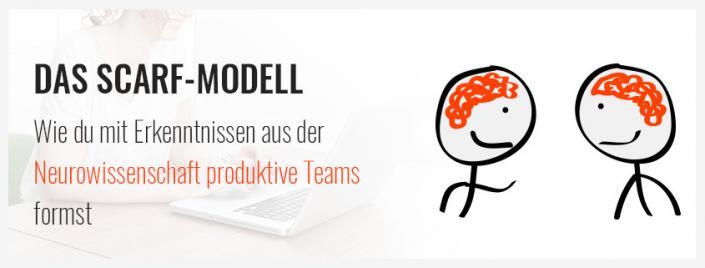 Das SCARF-Modell einfach erklärt [inkl. Video] - Projekte leicht gemacht